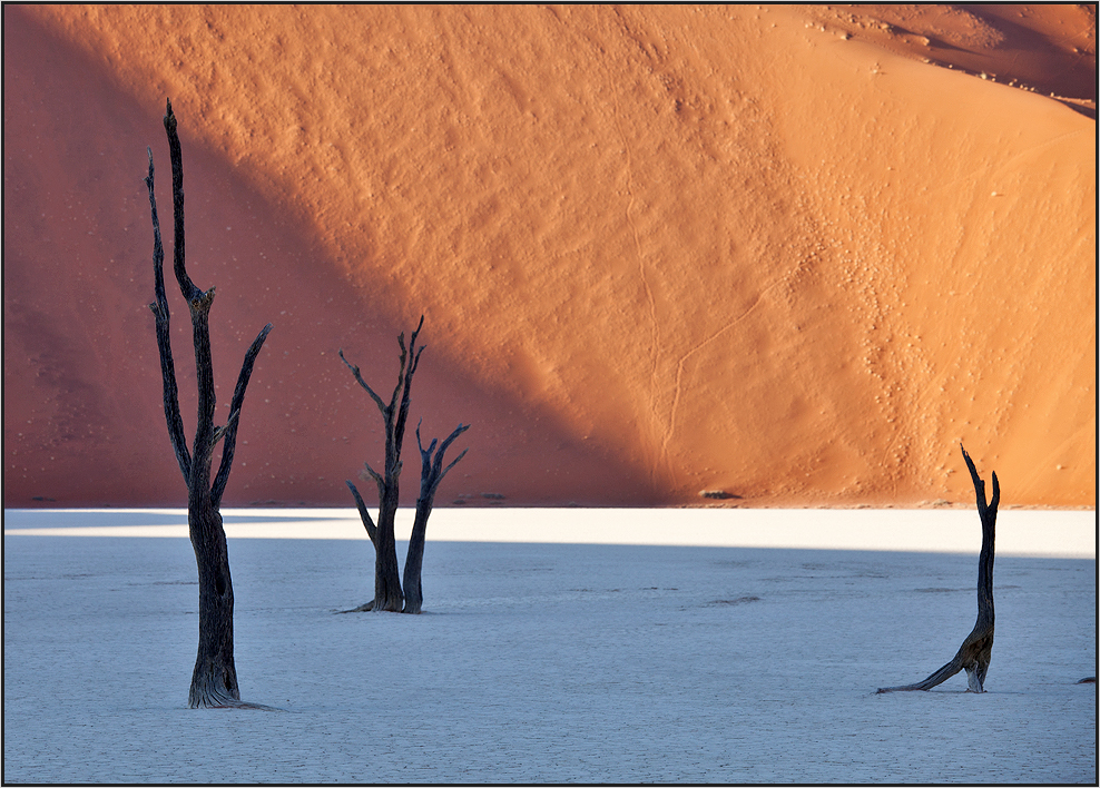 DEAD DANCER Foto & Bild | africa, southern africa, namibia Bilder auf ...