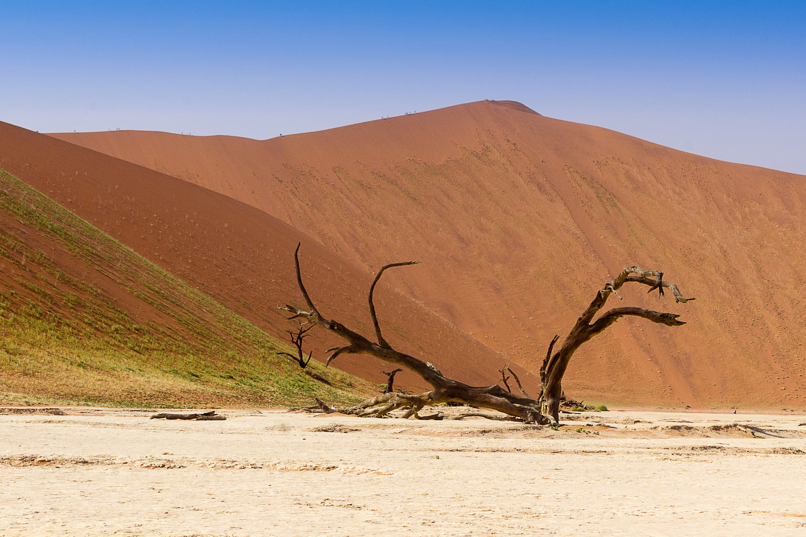 Dead Vlei Foto & Bild | africa, southern africa, namibia Bilder auf ...