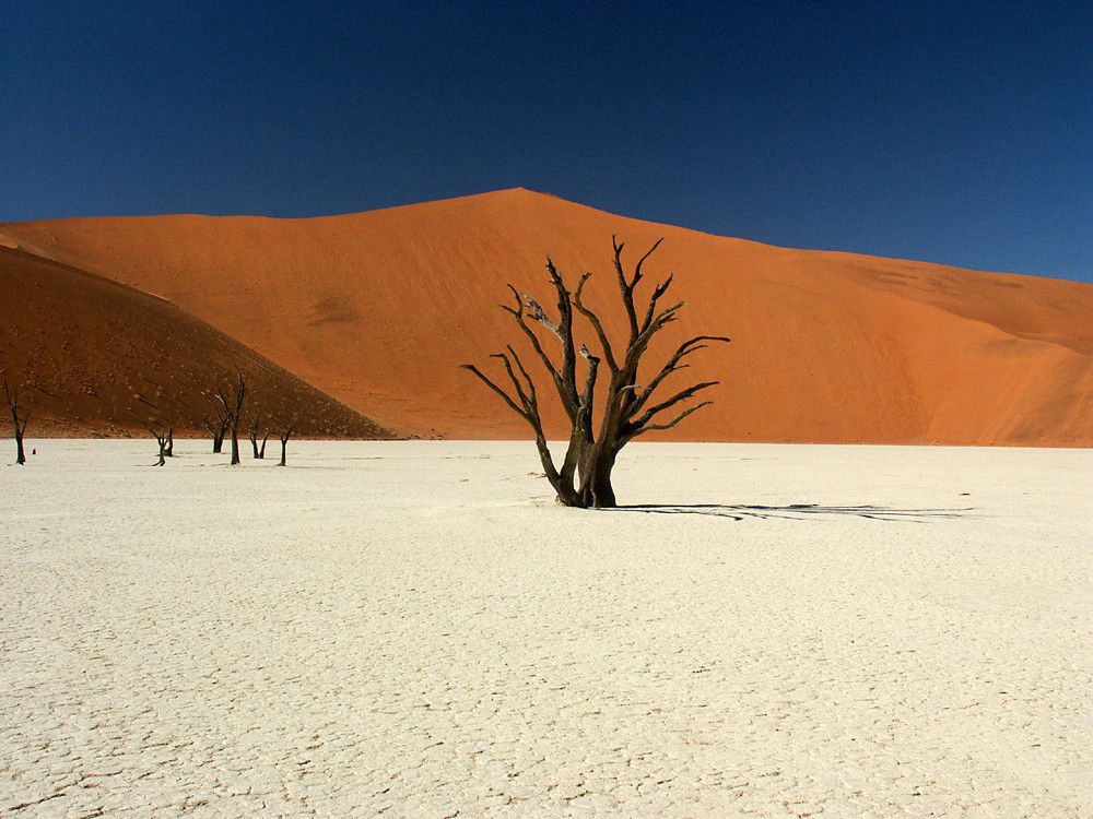 Dead Vlei, Namibia Foto & Bild | africa, southern africa, namibia ...