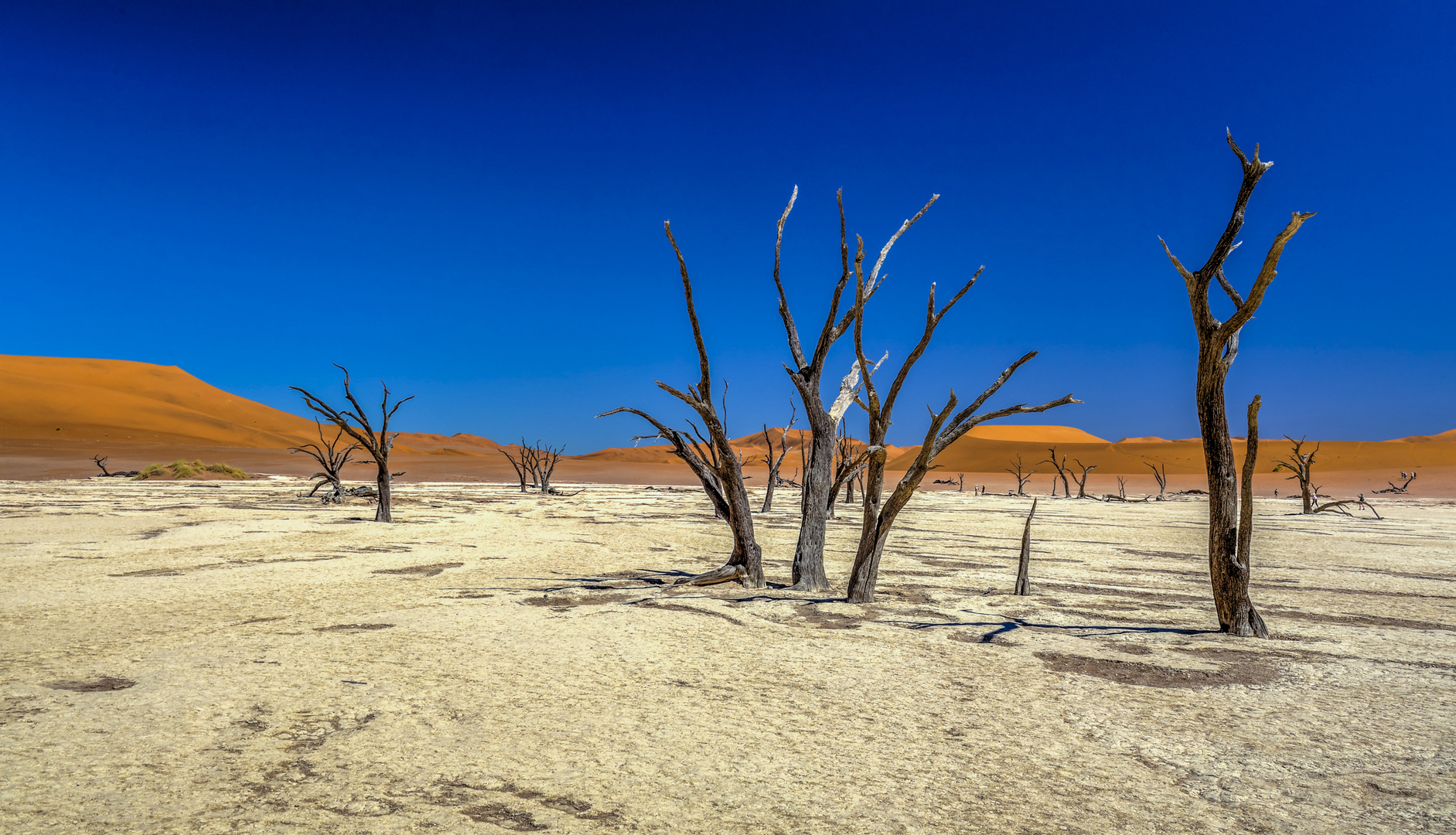 Deadvlei Foto & Bild | africa, southern africa, namibia Bilder auf ...