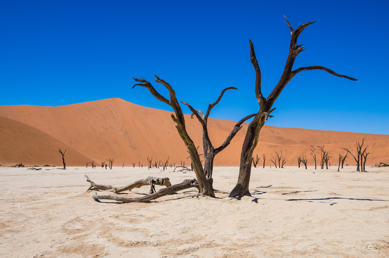 Deadvlei, Namibia Foto & Bild | world, outdoor, bäume Bilder auf ...