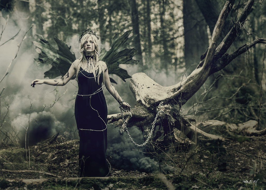 deceasing Foto & Bild | fotokunst, keine selfs, spezial Bilder auf ...