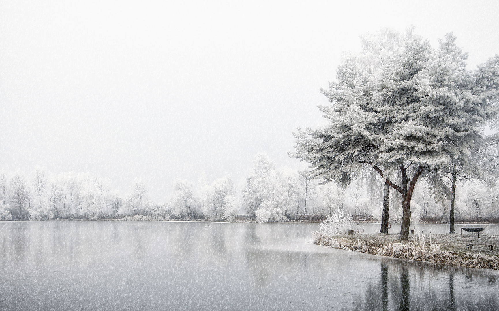 December Foto & Bild | spezial, winter, natur Bilder auf fotocommunity