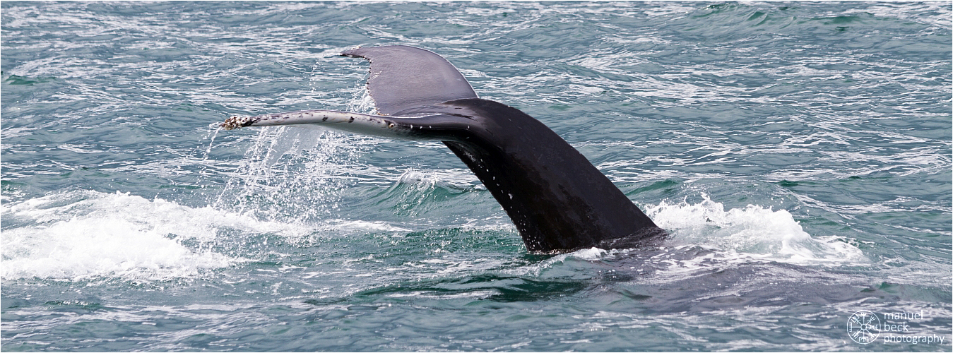 deep dive Foto & Bild | europe, scandinavia, iceland Bilder auf ...