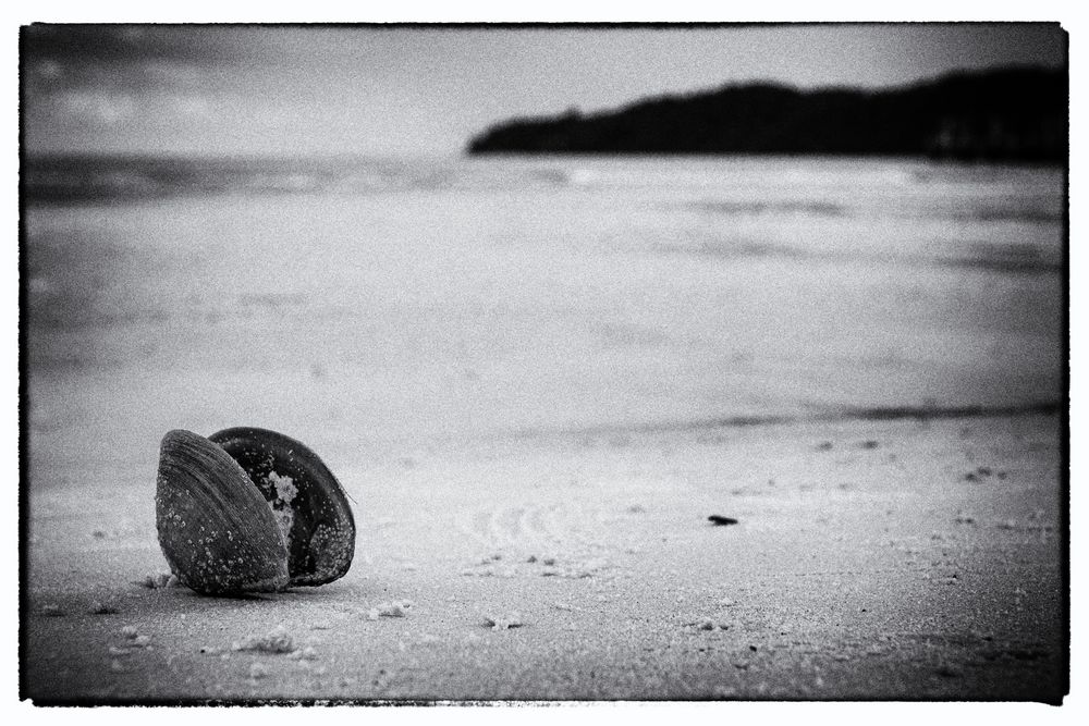 Deep in my memory* Foto & Bild | monochrome, sand, meer Bilder auf ...