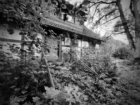 Mystische Orte Bilder & Fotos