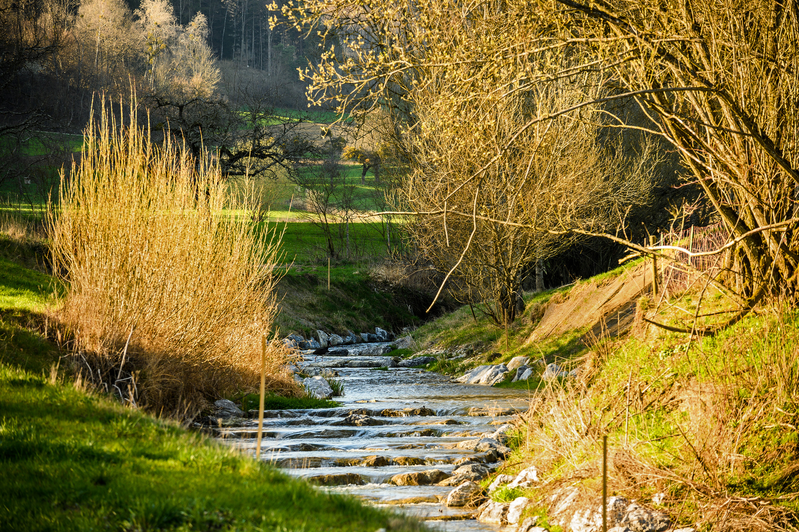 Deggenhauser Aach Foto & Bild | world, spezial, natur Bilder auf ...