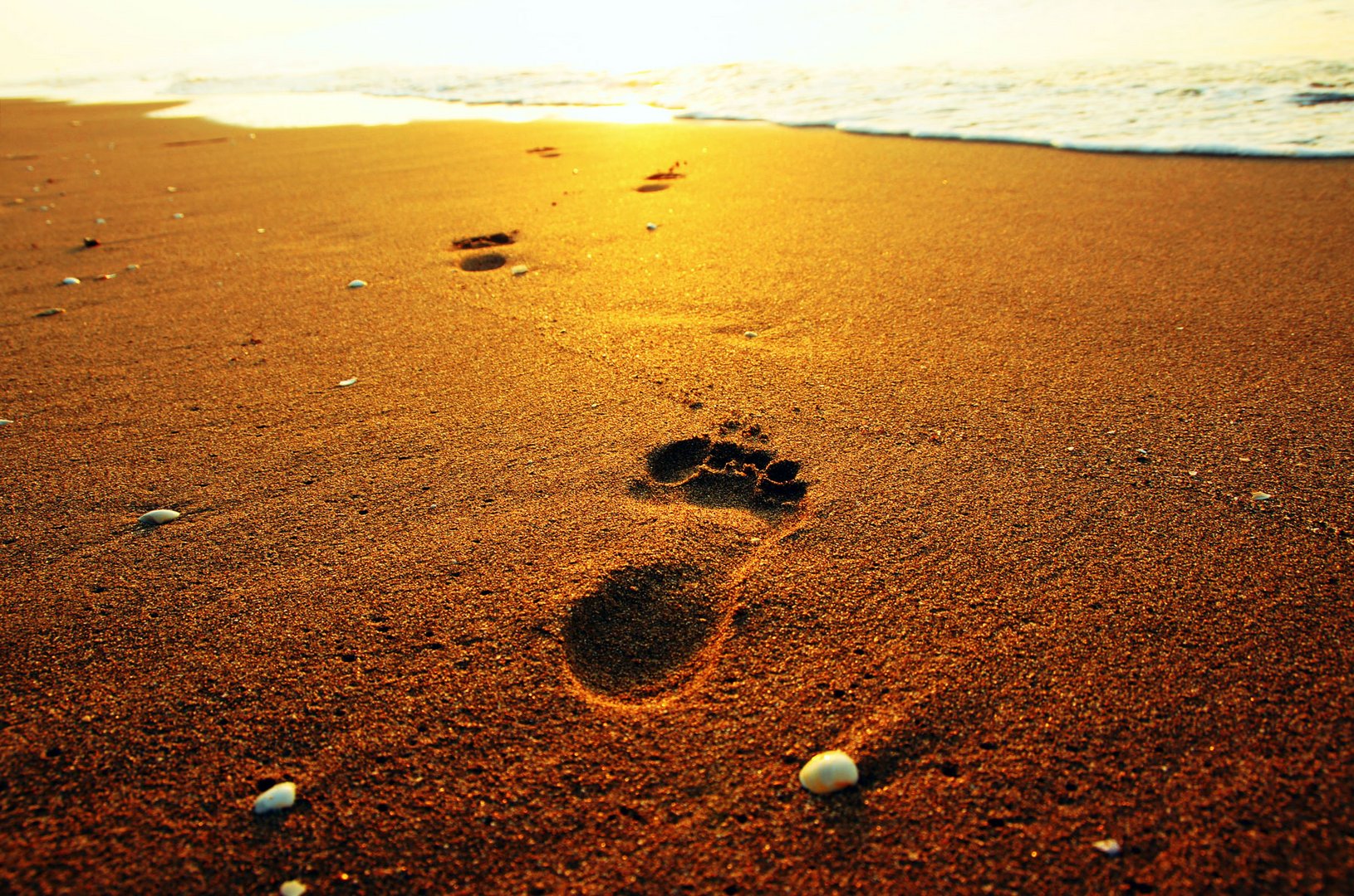 "Deine Spuren im Sand..." Foto & Bild | urlaub, sonnenuntergang, wasser Bilder auf fotocommunity