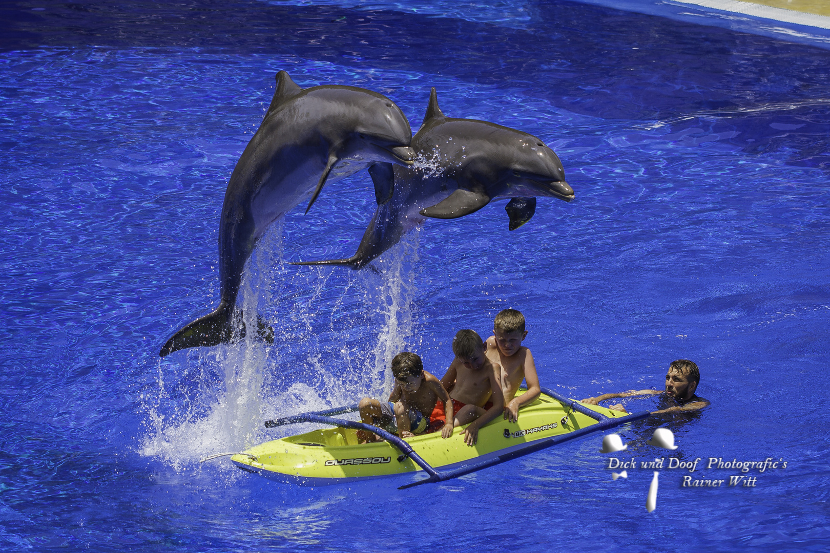 Delfine im Sprung Foto & Bild | natur, tiere, sprung Bilder auf ...