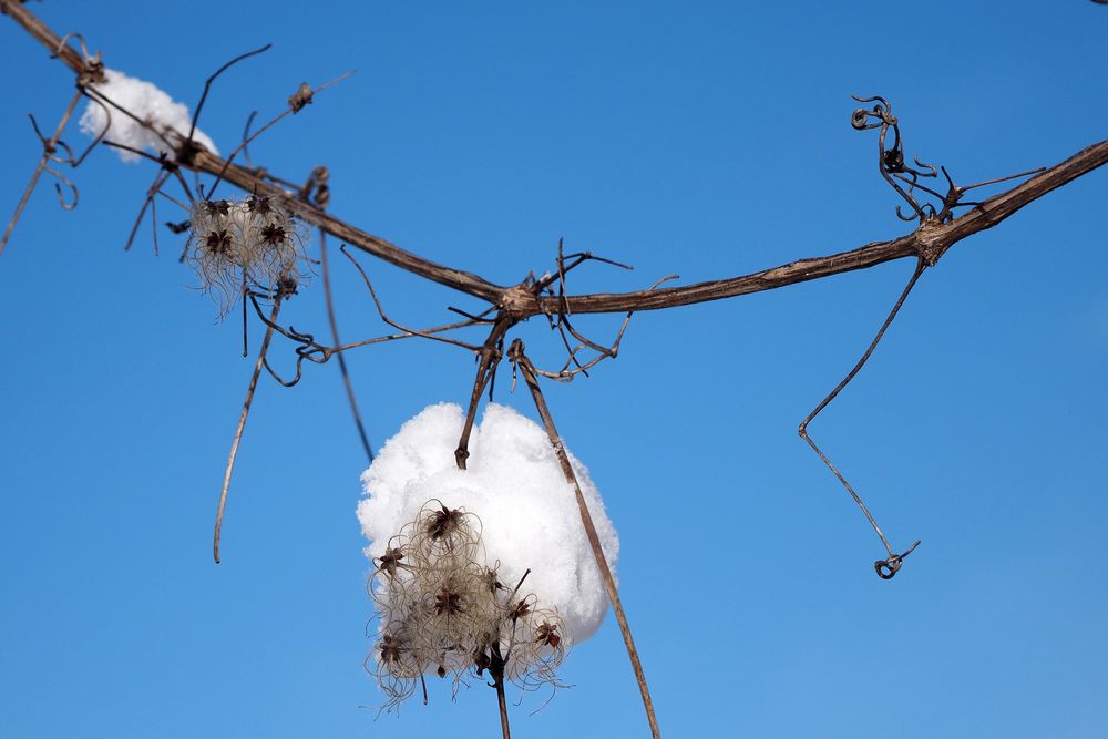 dem himmel so nah Foto & Bild | projekte, 1 - montag - blue monday, thementage Bilder auf ...