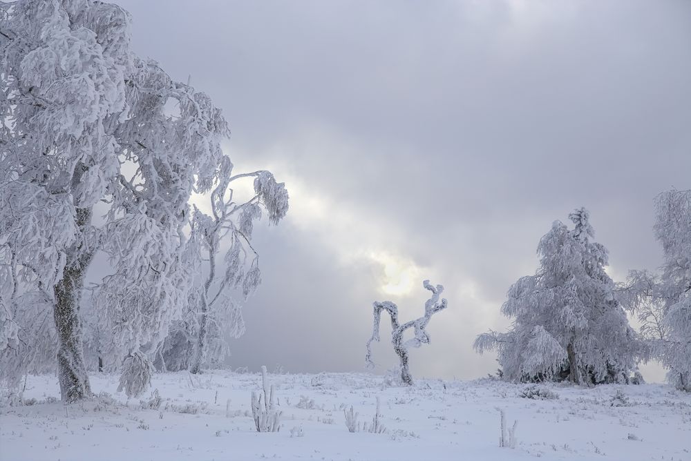 Den Durchblick Foto & Bild | art, spezial, winter Bilder auf fotocommunity