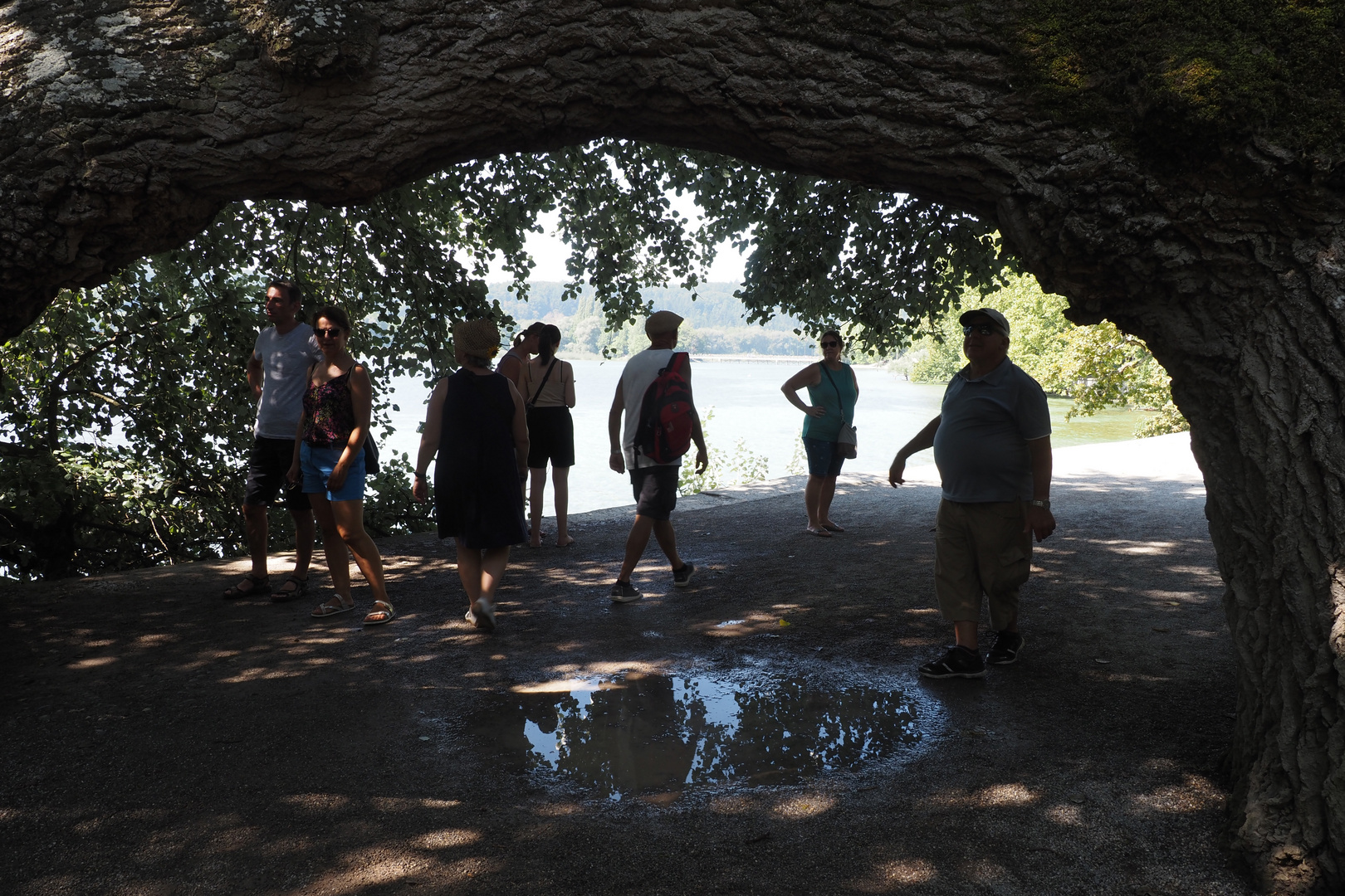 den durchblick hatte ich.... Foto & Bild | projekte, donnerstag mit durchblick, thementage ...