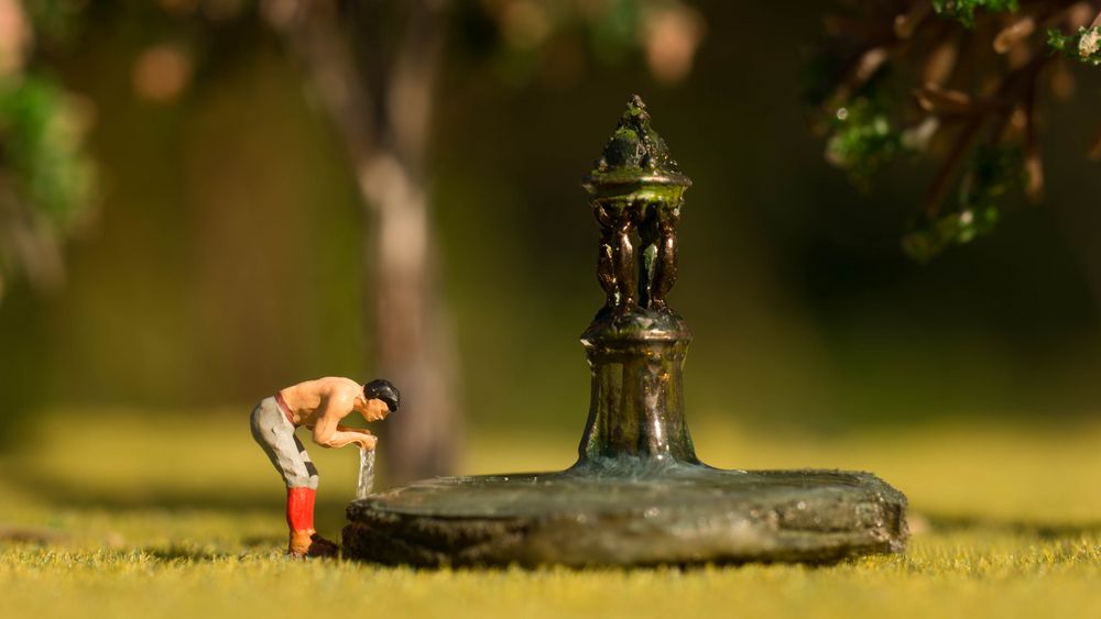 Den Durst stillen Foto & Bild | stillleben, jahreszeiten, frühling ...