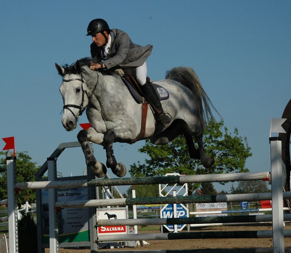 den nächsten Sprung im Blick Foto & Bild | sport, parkour, pferde ...