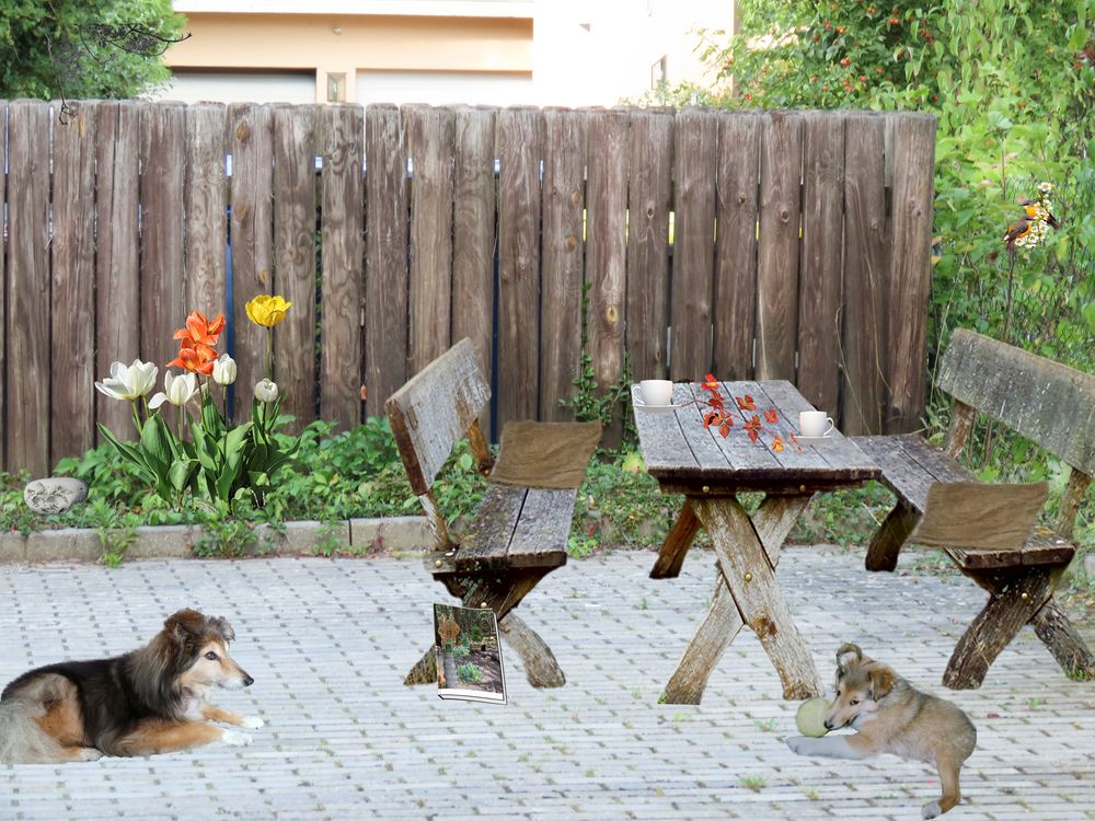 Den Parkplatz habe ich hier umfunktioniert... Foto & Bild | spezial, outdoor, hunde Bilder auf ...