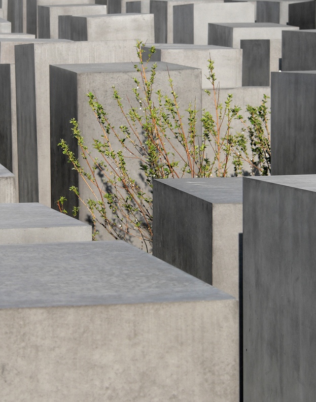 Dennoch Foto & Bild | deutschland, europe, berlin Bilder auf fotocommunity