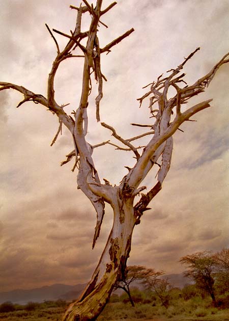 Dénuement photo et image | paysages, mon petit chez moi, nature Images ...