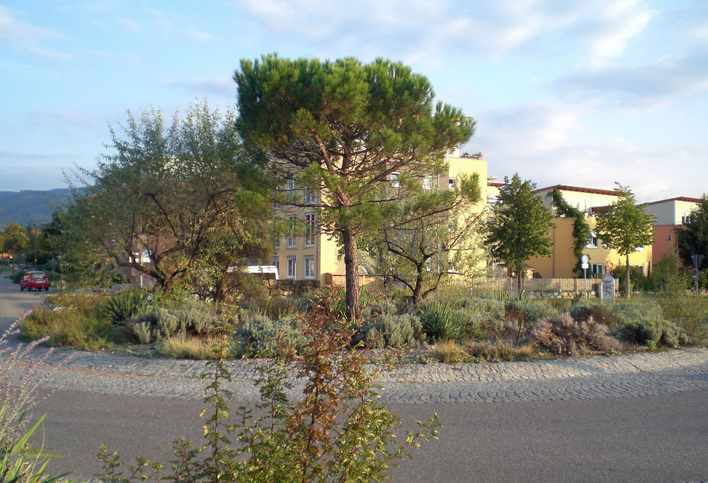 Denzlingen: Kreisverkehr Saint-Cyr-sur-Mer Foto & Bild | deutschland ...