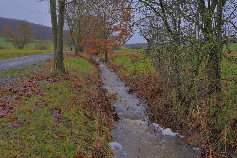 der Abfluß unseres Sees Foto & Bild | landschaft, bach, fluss & see ...