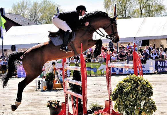 Turniersport Bilder & Fotos