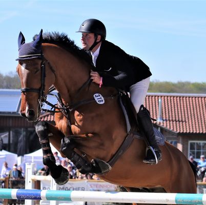 Turniersport Bilder & Fotos