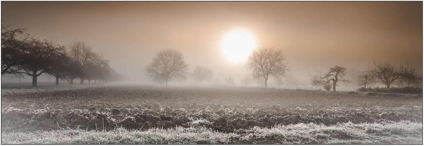 Der Acker ..... Foto & Bild | landschaft, landschaften, natur Bilder ...