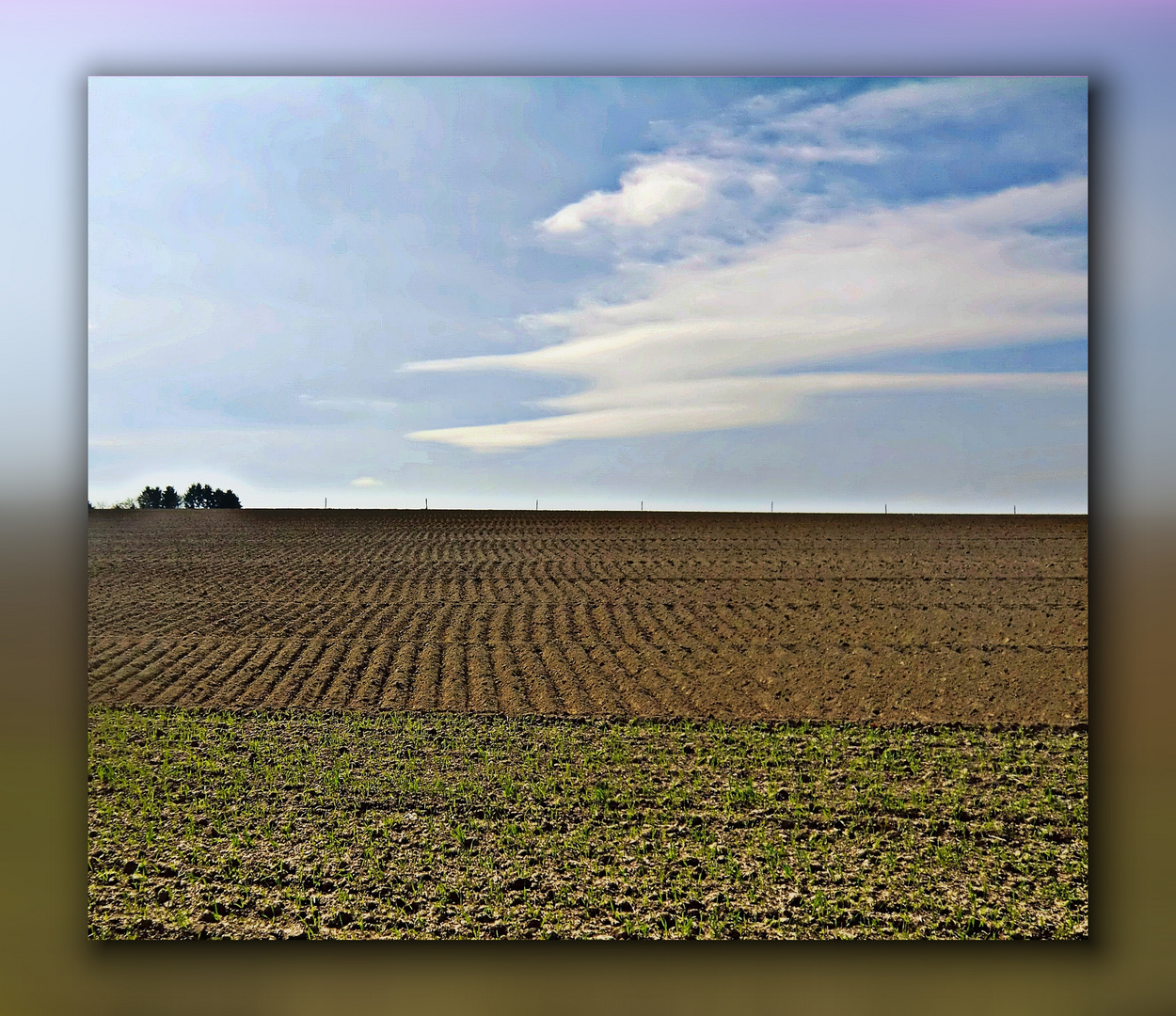 Der Acker Foto & Bild | landschaft, Äcker, felder & wiesen, natur ...