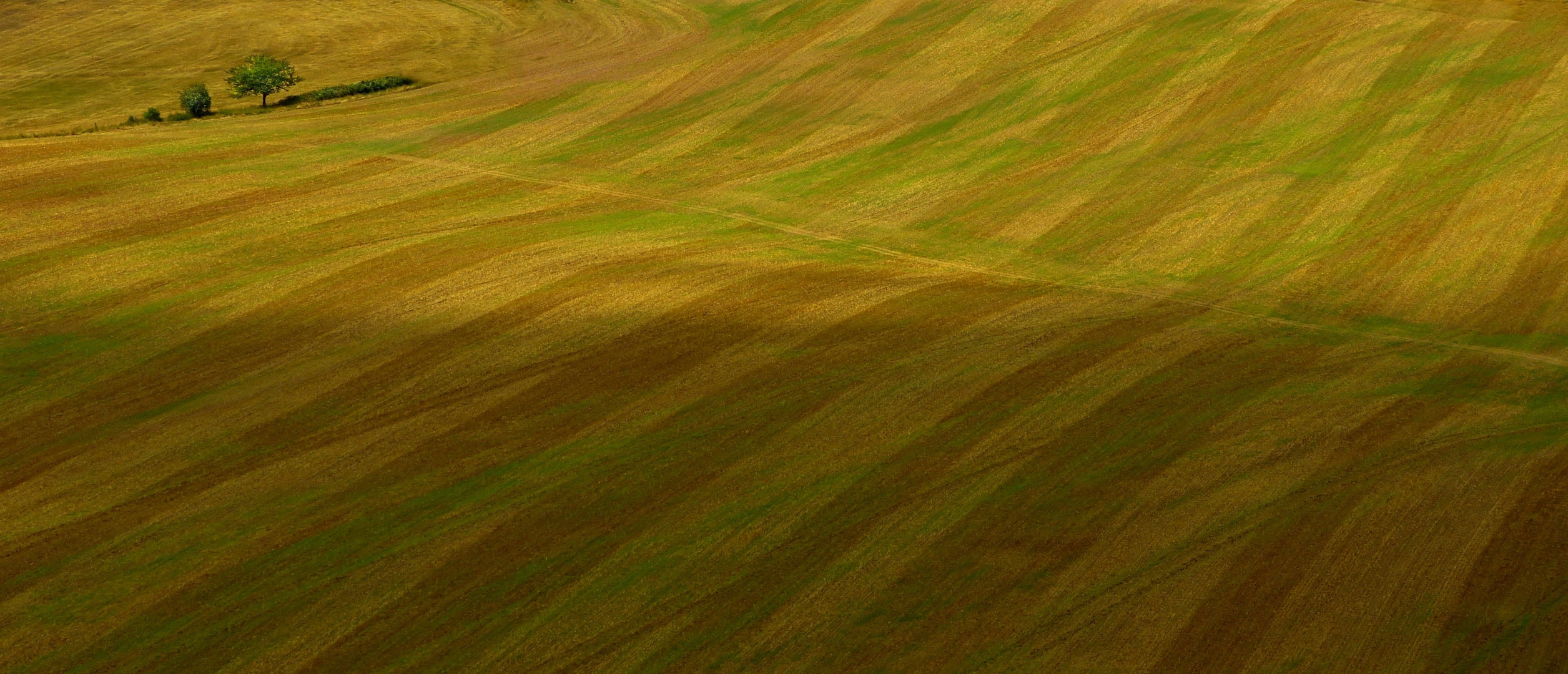 Der Acker von Bauer Mustermann Foto & Bild | sommer, bäume, felder ...