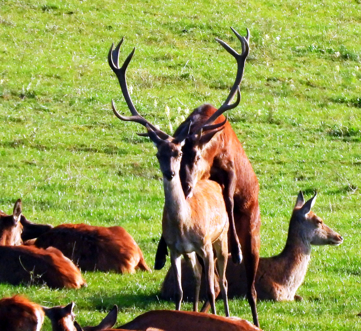 Der Akt 1 Foto & Bild | deutschland, europe, nordrhein- westfalen ...