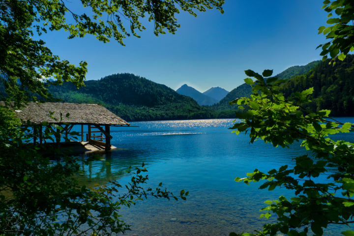 Der Alpsee Foto & Bild | landschaft, bach, fluss & see, see, teich ...