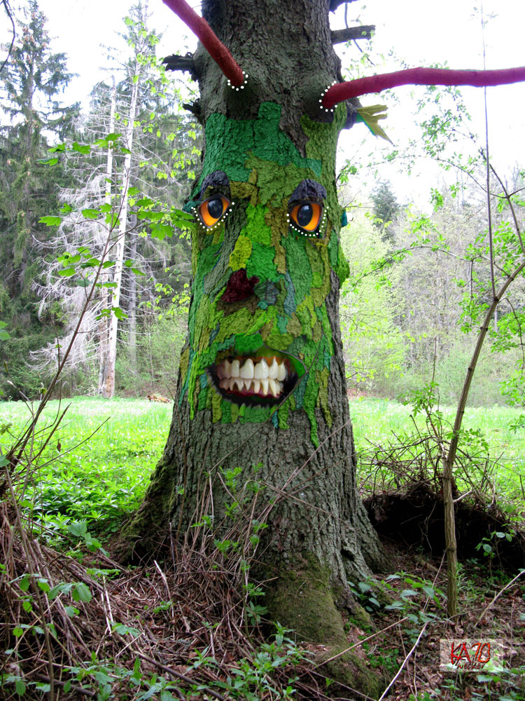 Der alte Baummensch Foto & Bild | fotomontage, landschaften, digiart Bilder auf fotocommunity