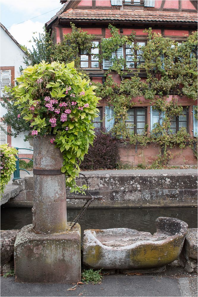 Der alte Brunnen an der Lauter Foto & Bild | frankreich, elsass ...