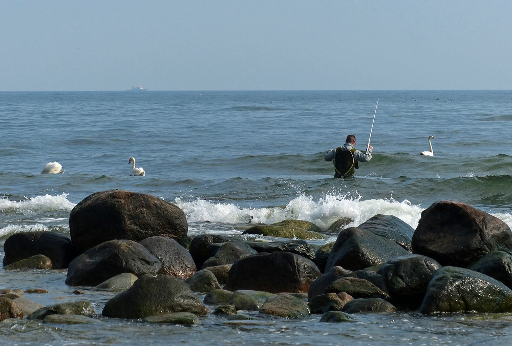 Der Angelking greift an Foto & Bild | deutschland, europe, mecklenburg ...