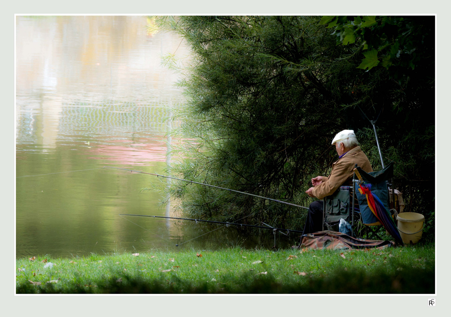 Der Angler Foto & Bild | natur, angel, neckar Bilder auf fotocommunity