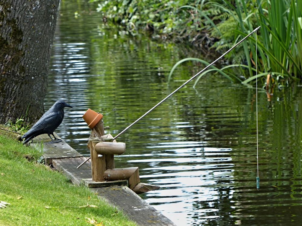 DER ANGLER Foto & Bild | world, wasser, natur Bilder auf fotocommunity