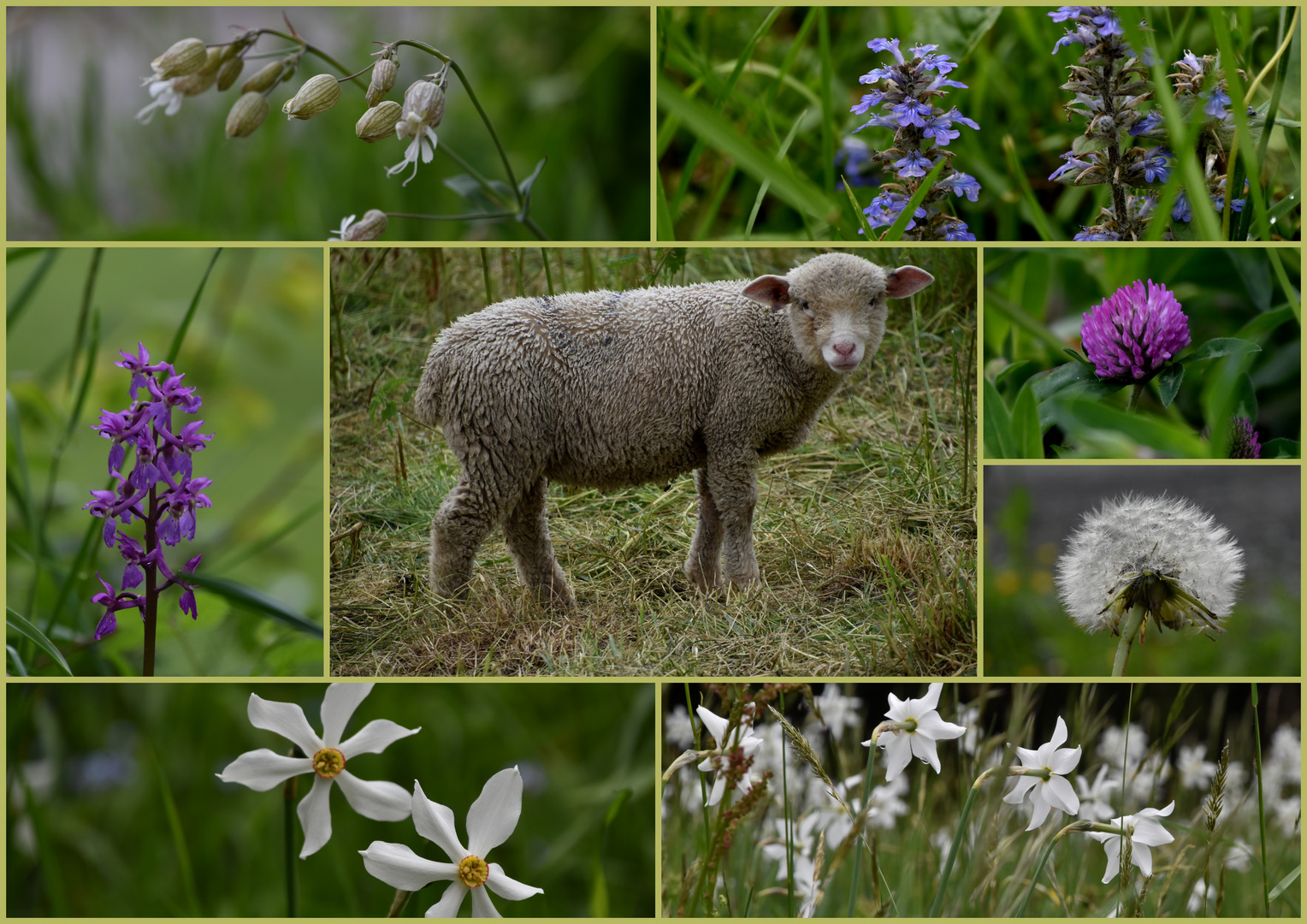 Der April.... Foto & Bild | jahreszeiten, frühling, collagen Bilder auf ...