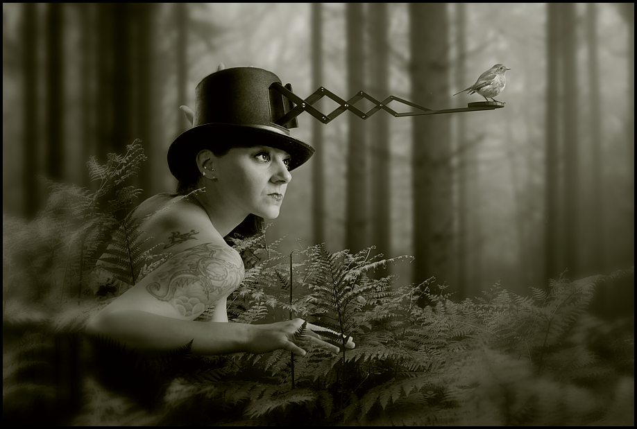 der Ausflug Foto & Bild | fotomontage, surreal, digiart Bilder auf fotocommunity