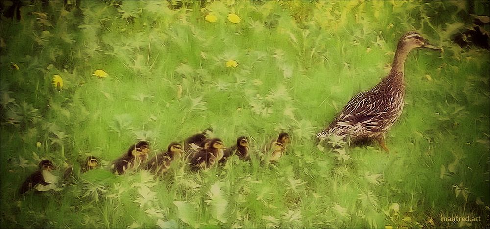 der ausflug Foto & Bild | natur, natur erlebnis Bilder auf fotocommunity