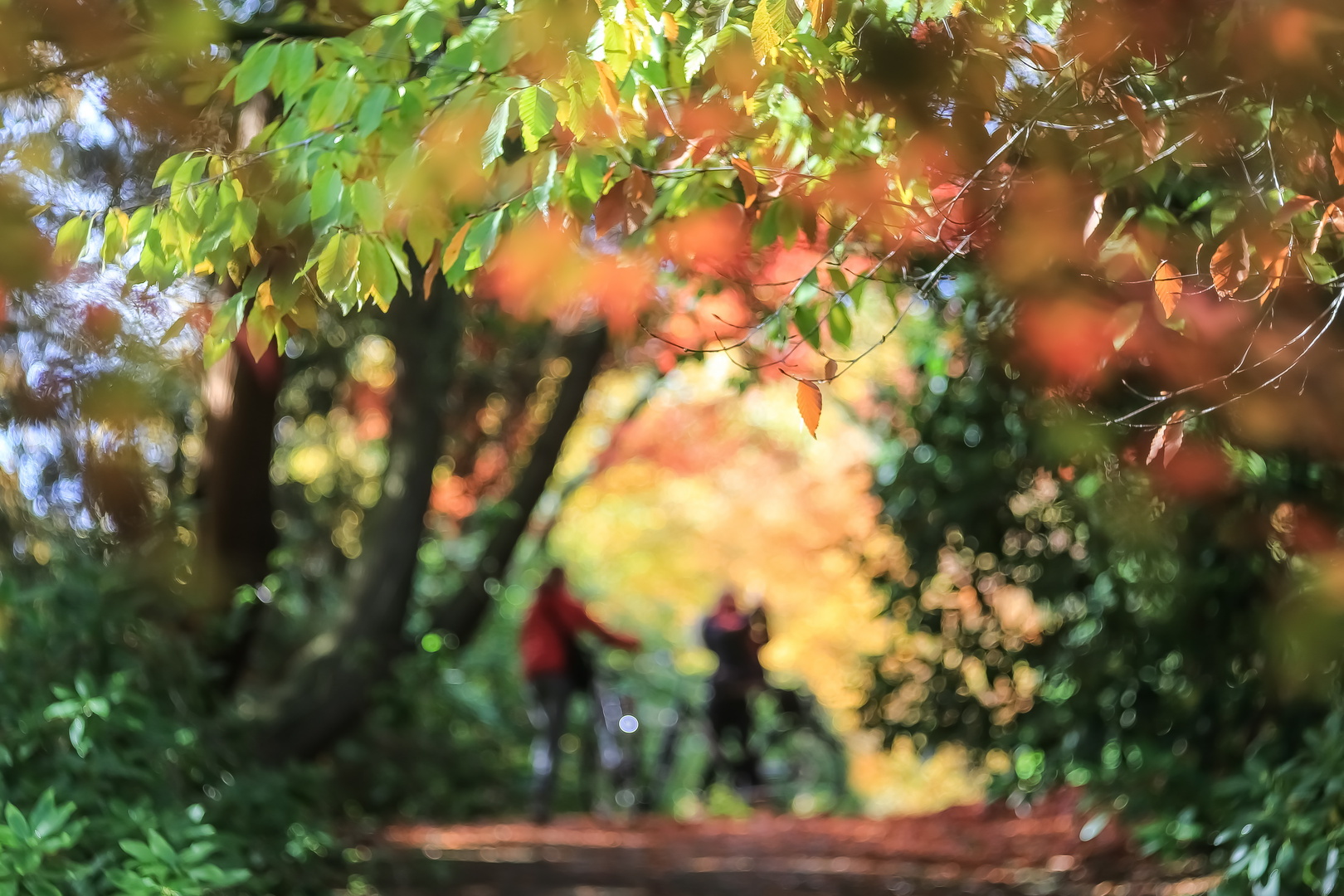 Der Ausflug Foto & Bild | park, dokumentation, bäume Bilder auf ...