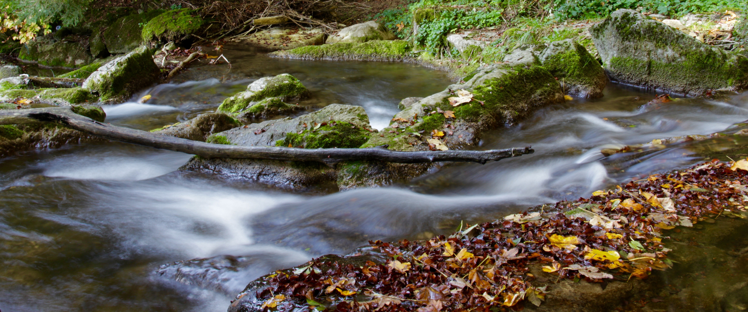 Der Bach Foto & Bild | natur, herbst, landschaft Bilder auf fotocommunity