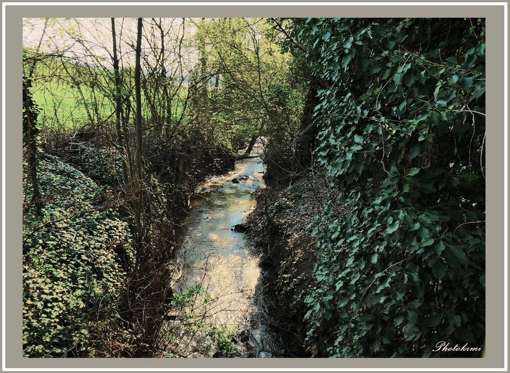 Der Bach Foto & Bild | landschaft, projekte, bach, fluss & see Bilder ...