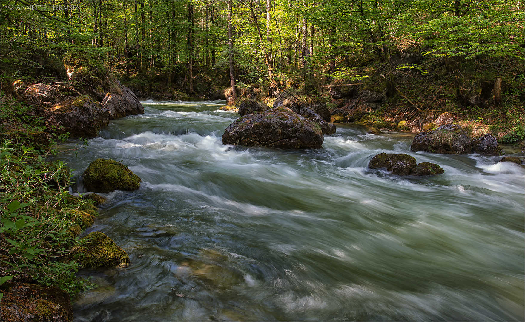 Der Bach Foto & Bild | world, wald, outdoor Bilder auf fotocommunity