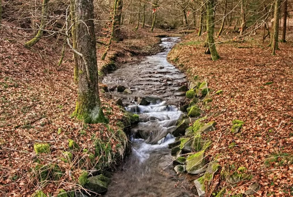 Der Bach Foto & Bild | deutschland, europe, nordrhein- westfalen Bilder ...