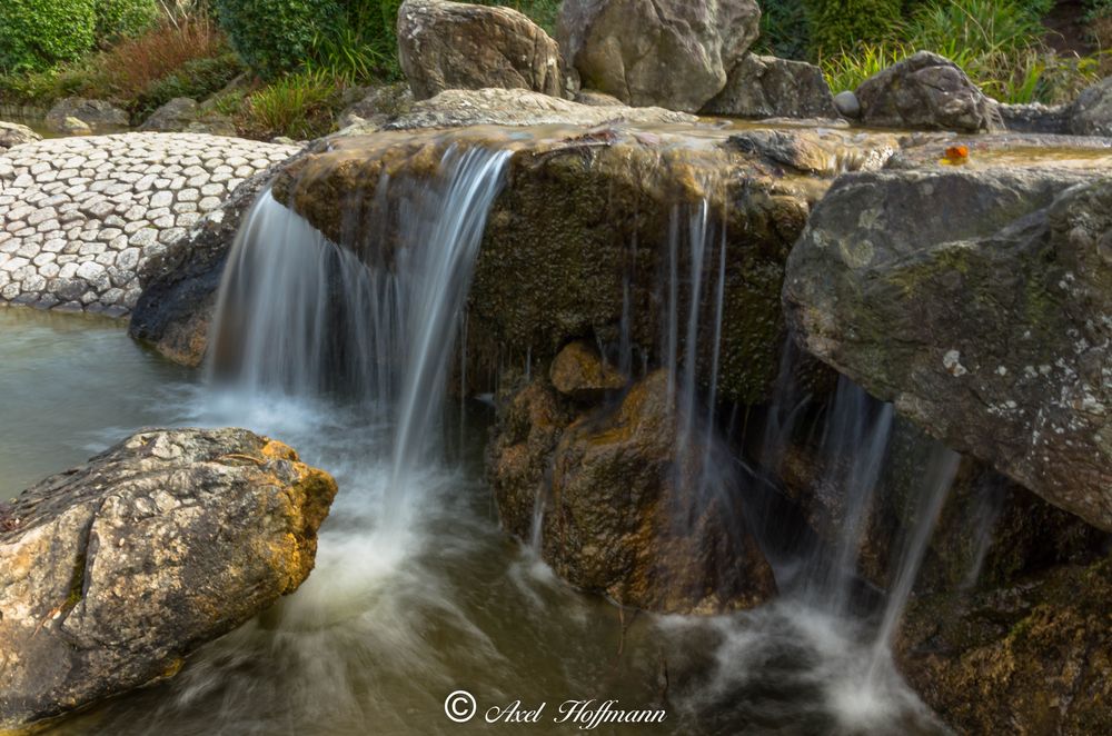 Der Bachlauf Foto & Bild | landschaft, landschaft und natur ...