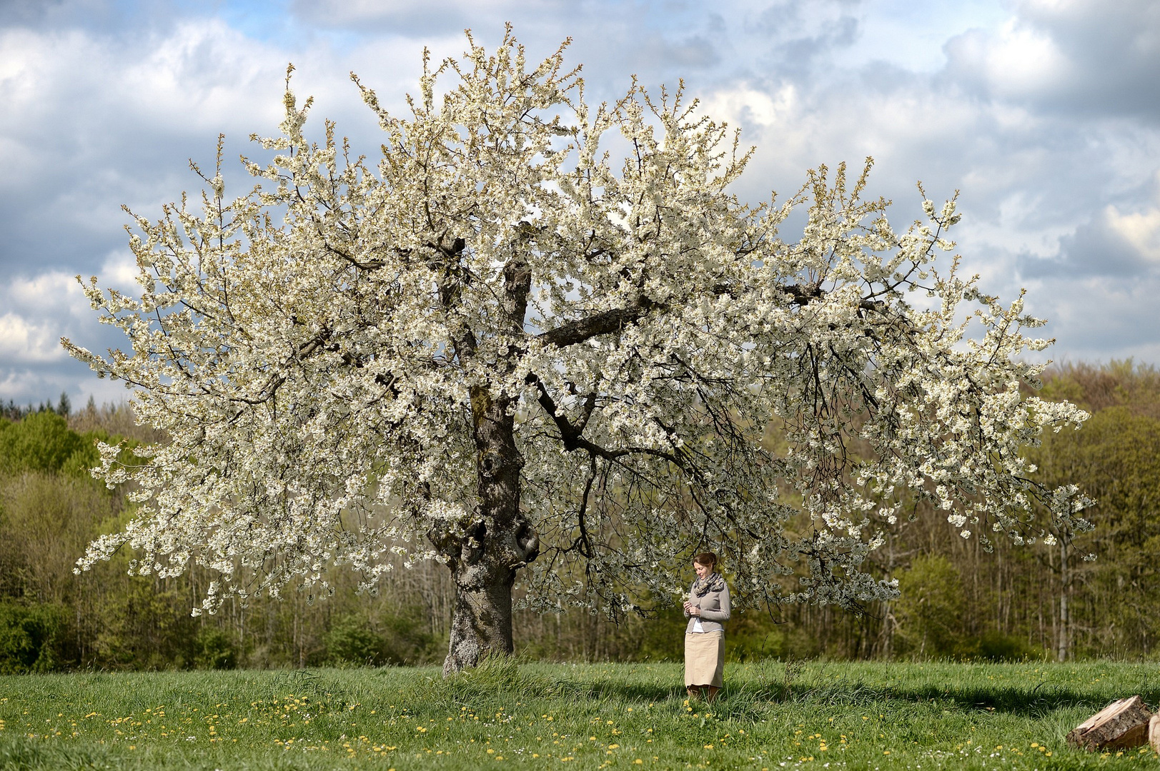 Der Baum... Foto & Bild | portrait, portrait frauen, outdoor Bilder auf ...