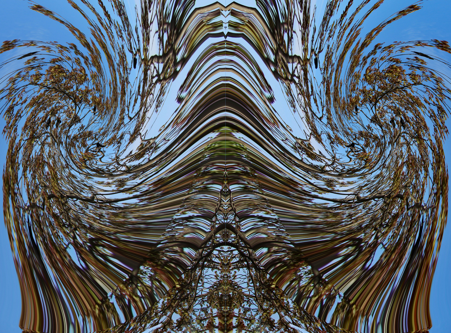 Der Baum im Wind Foto & Bild | reportage dokumentation, modern ...