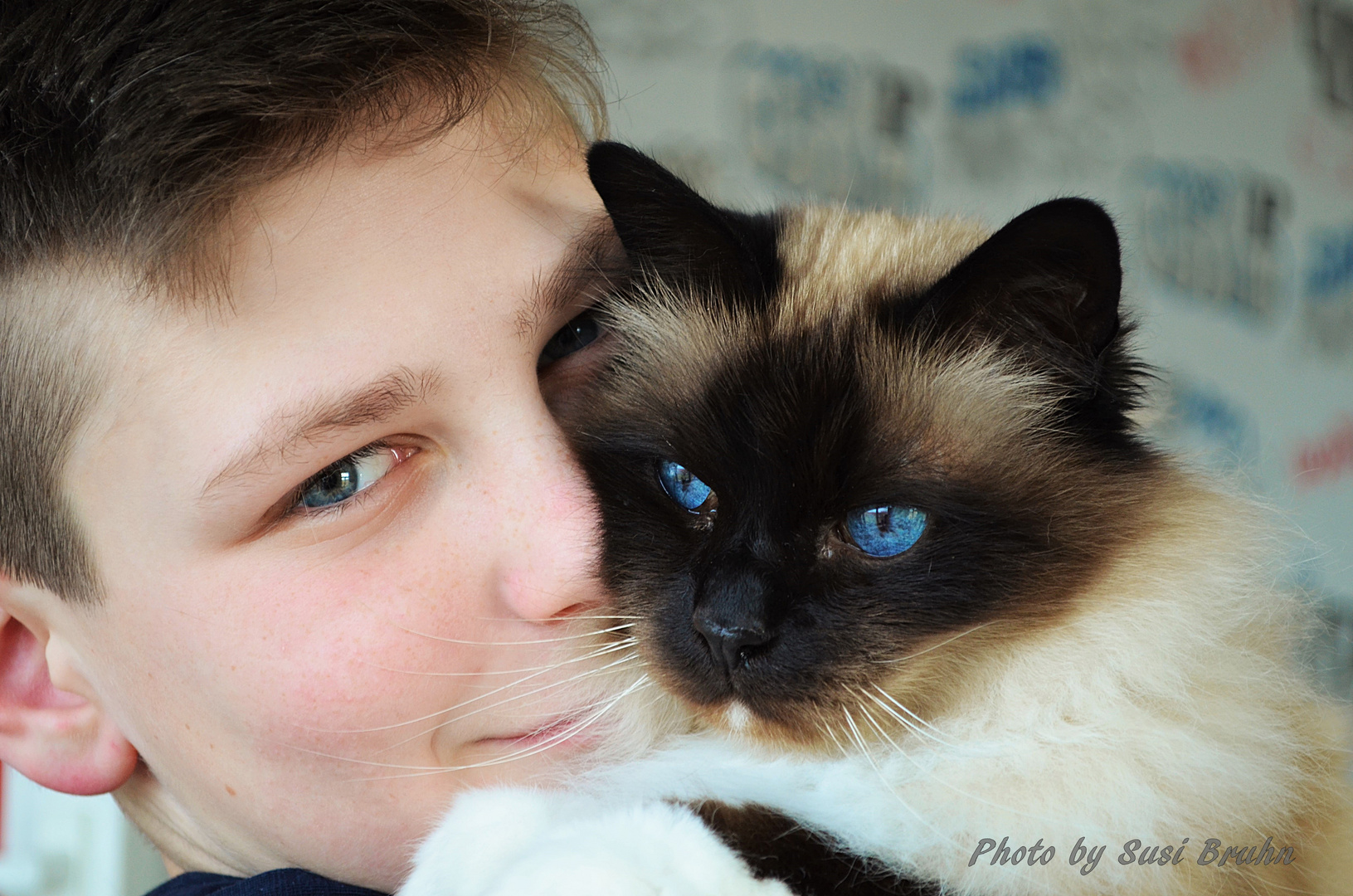 der beste Freund Foto & Bild | tiere, tier und mensch, natur Bilder auf ...