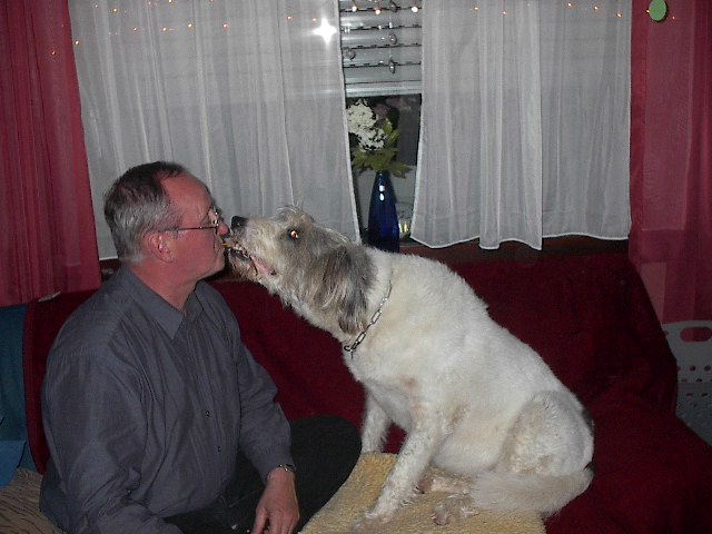 Der beste Freund des Menschen Foto & Bild | geo-wettbewerb, archiv ...