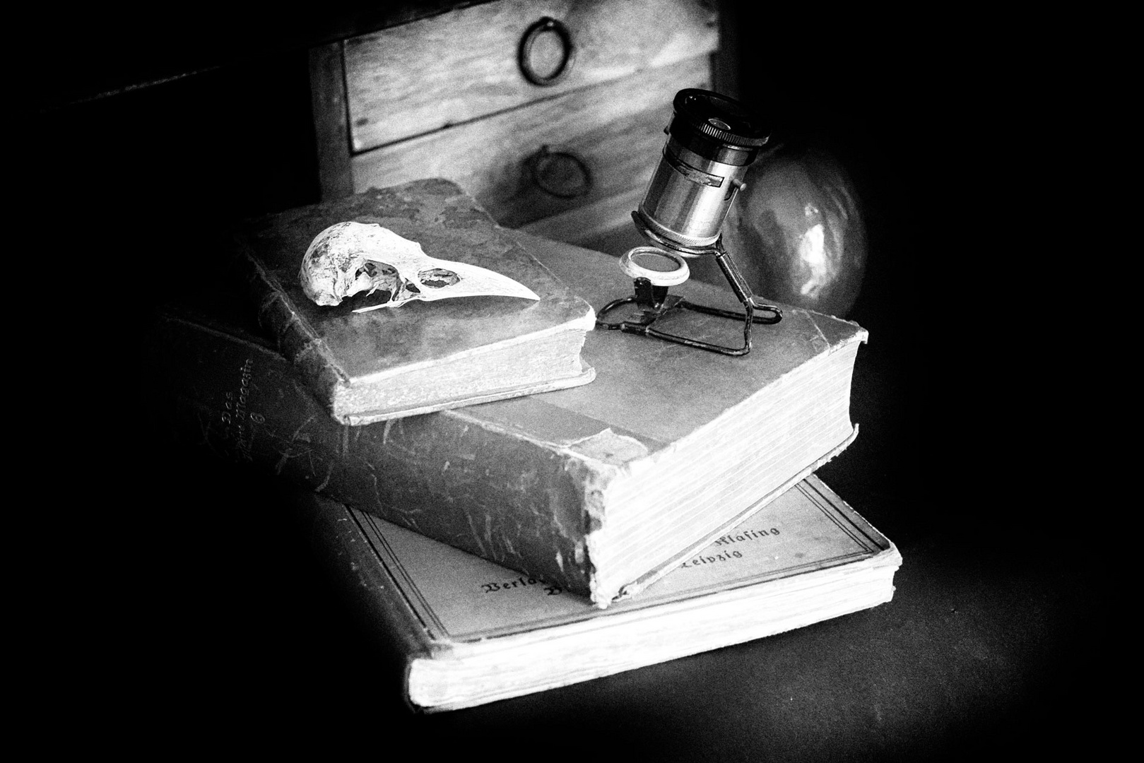 Der Biologe (SW Version) Foto & Bild | world, spezial, apfel Bilder auf ...