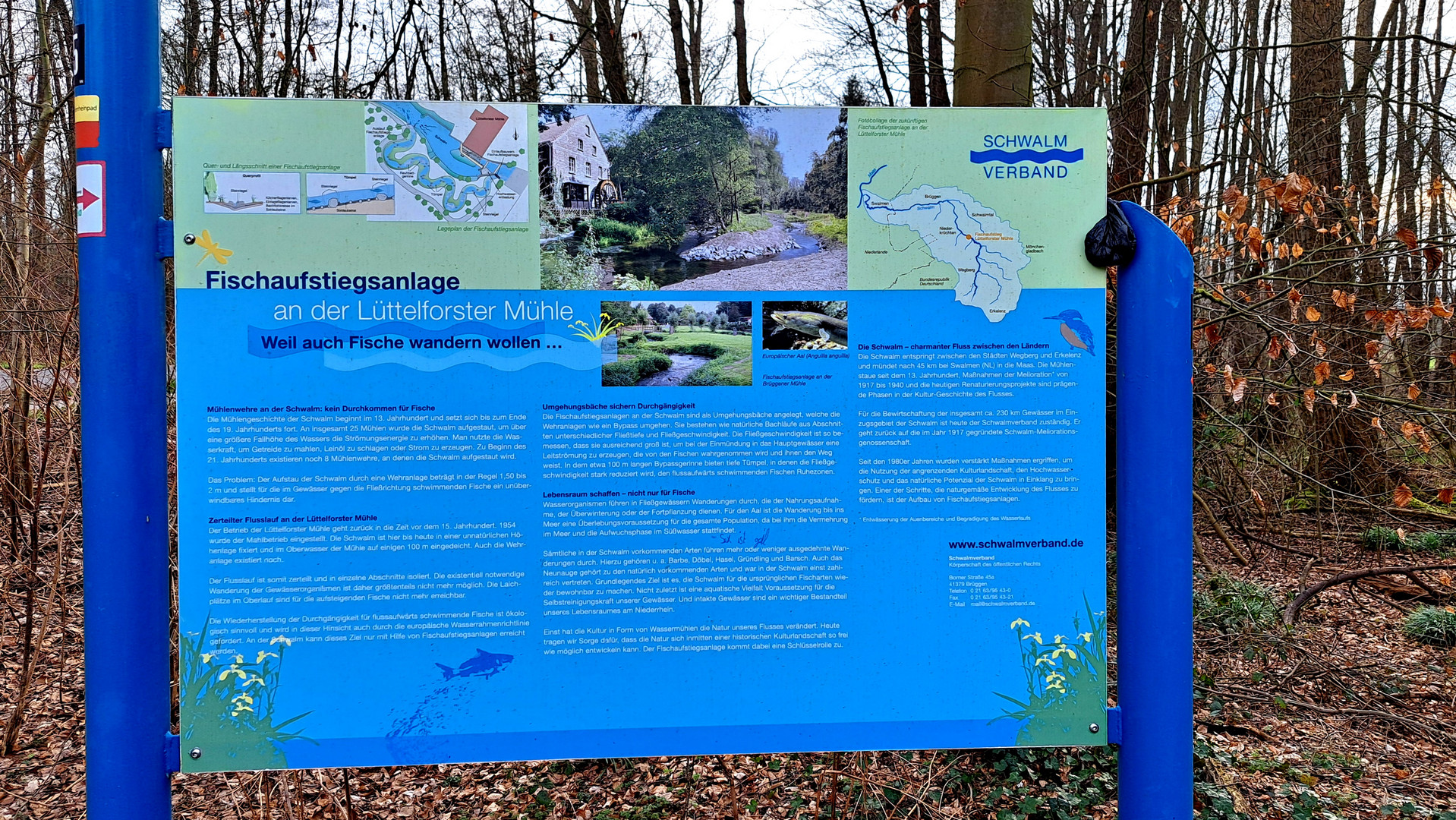 Der blaue Montag am Niederrhein Foto & Bild | projekte, 1 - montag - blue monday, thementage ...